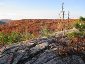 Official Website for the Town of Plymouth, Connecticut - Interesting ...